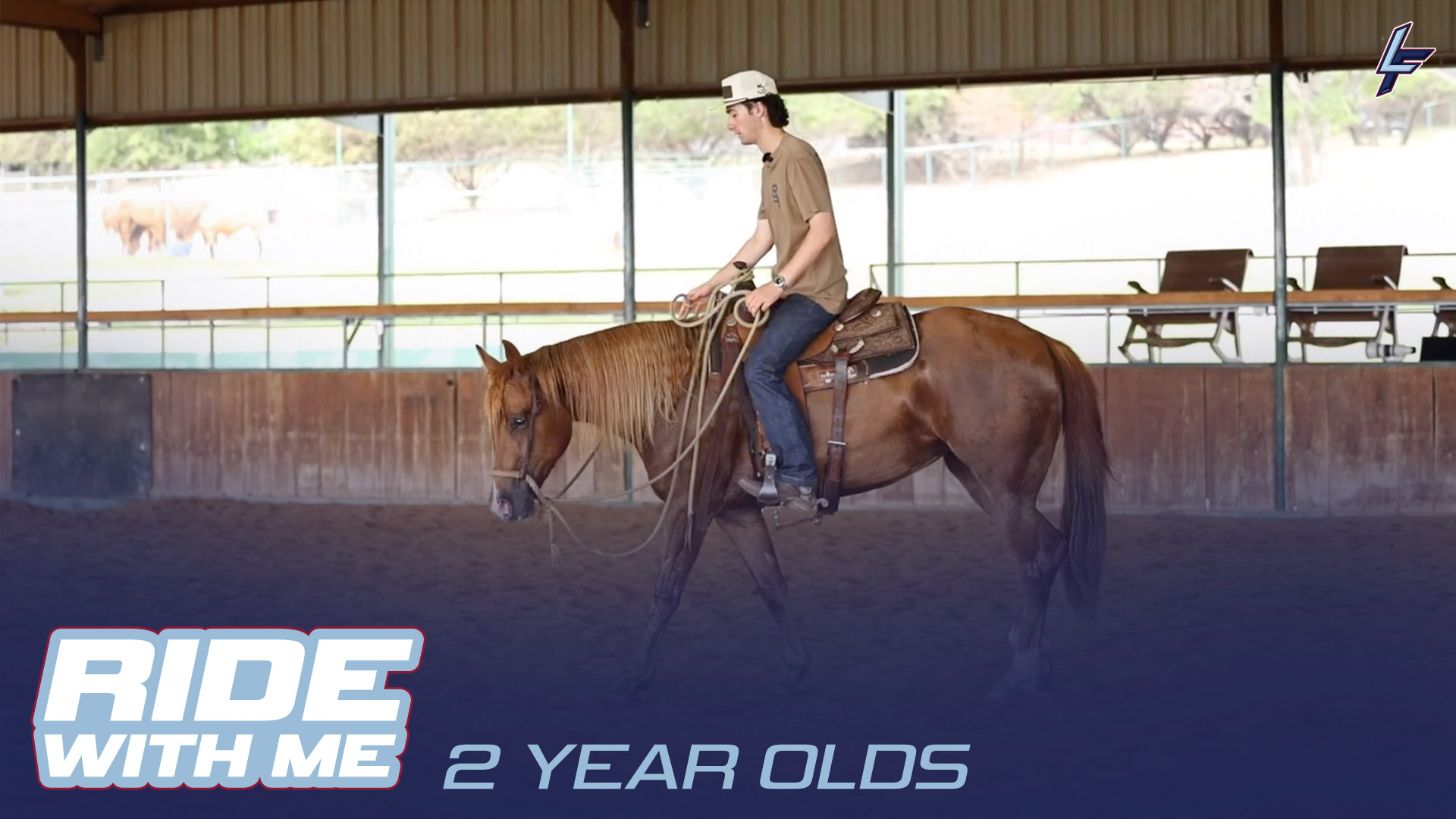 Lady, June 2024 - Luca Fappani Performance Horses