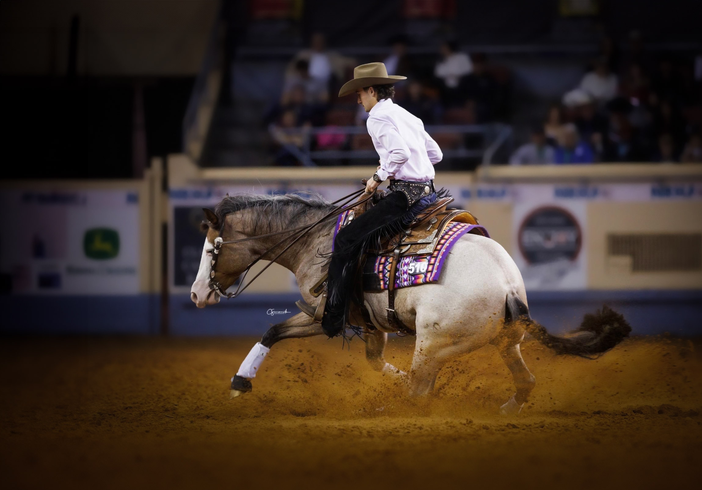 Luca Fappani Performance Horses - NRHA Professional Trainer & Coach