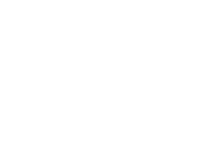 Luca Fappani Performance Horses - NRHA Professional Trainer & Coach