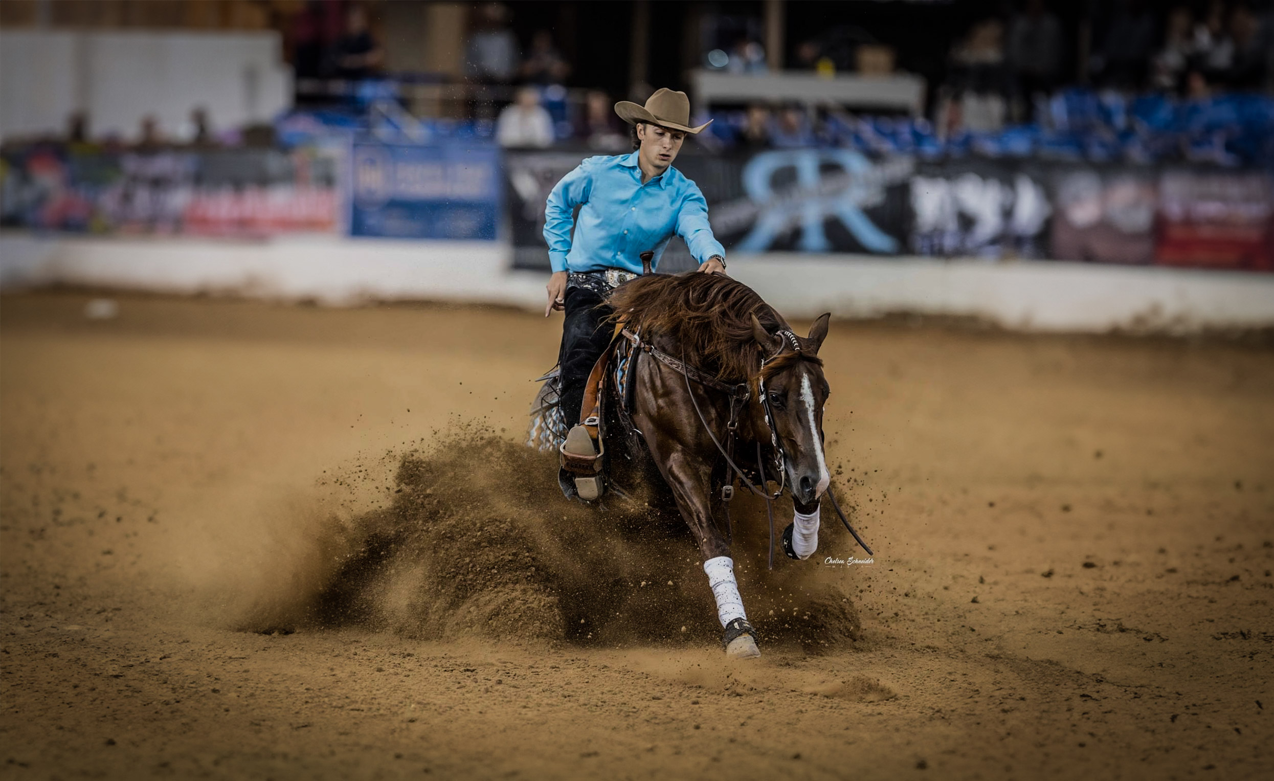 Luca Fappani Performance Horses - NRHA Professional Trainer & Coach