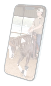 Monthly Subscription - Luca Fappani Performance Horses