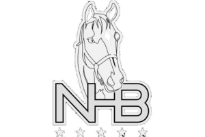 Luca Fappani Performance Horses - NRHA Professional Trainer & Coach